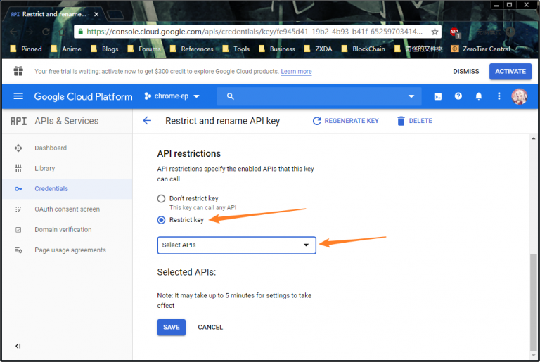 为 Chromium 设置 API Key 使用 Google 服务 | Berd's Playground (Deprecated)